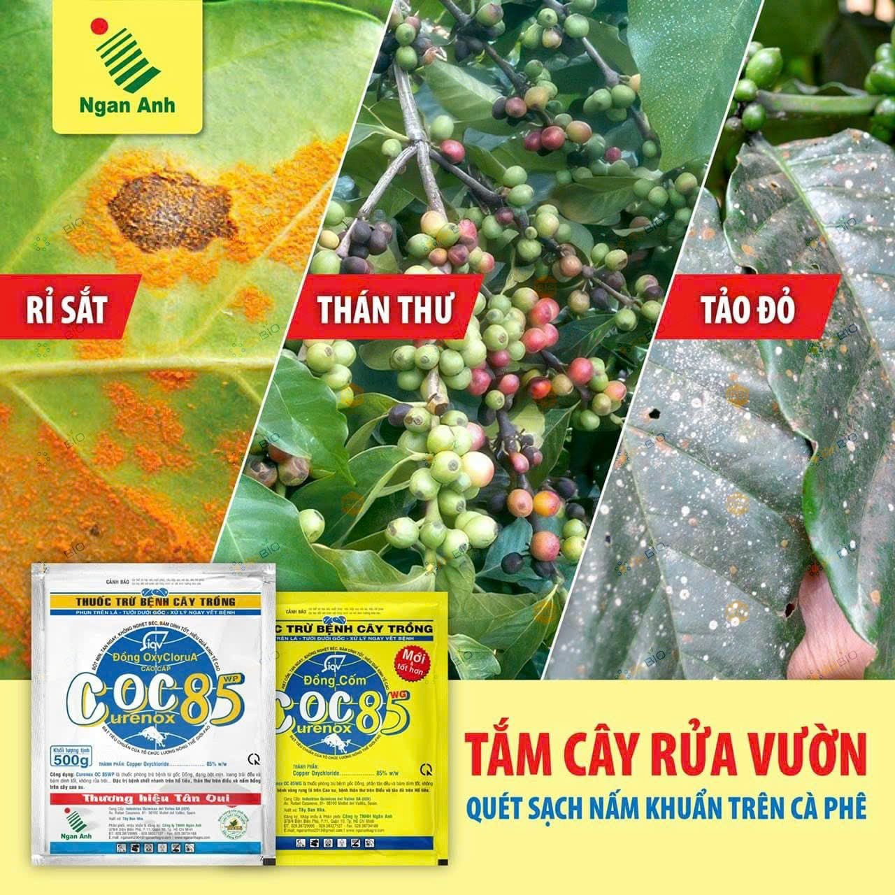 Coc 85 WP (Curenox OC) – AnBIO.vn | Agriculture Natural Biotechnology
