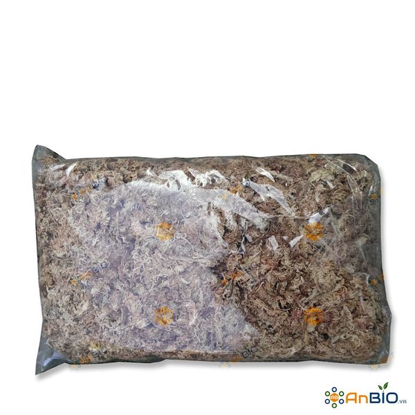 DỚN TRẮNG CHILE MOSS AAA – AnBIO.vn | Agriculture Natural Biotechnology