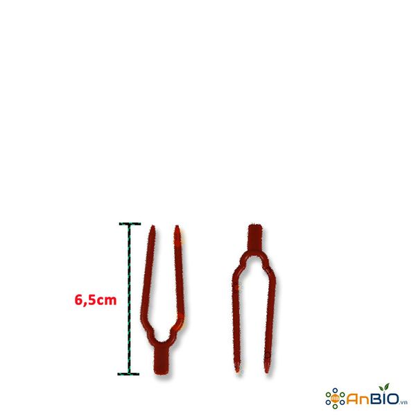 Kẹp ghim keiki – AnBIO.vn | Agriculture Natural Biotechnology