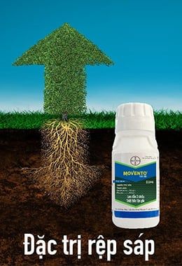 MOVENTO 150 OD – AnBIO.vn | Agriculture Natural Biotechnology
