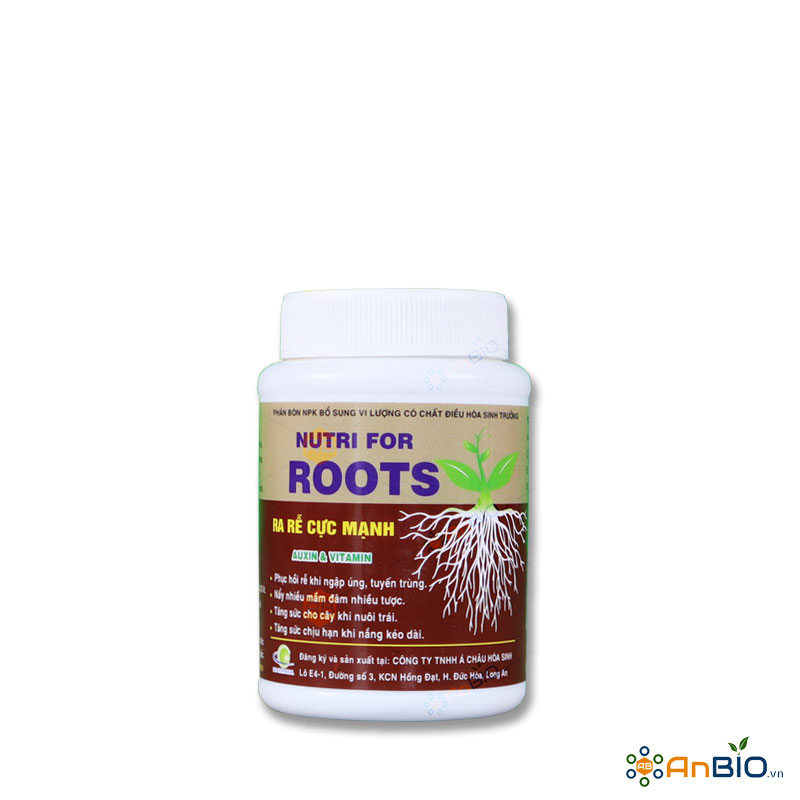 Nutri For Roots – AnBIO.vn | Agriculture Natural Biotechnology
