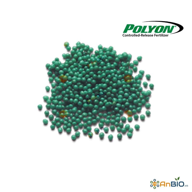 PHÂN TAN CHẬM POLYON Micros 16-6-12 | Công Nghệ USA – AnBIO.vn ...