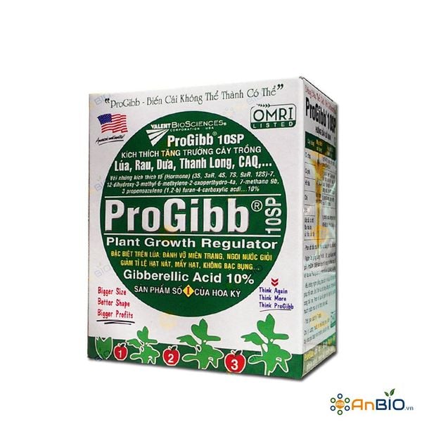 ProGibb 10SP (Gibberellic acid 10%) – AnBIO.vn | Agriculture Natural ...