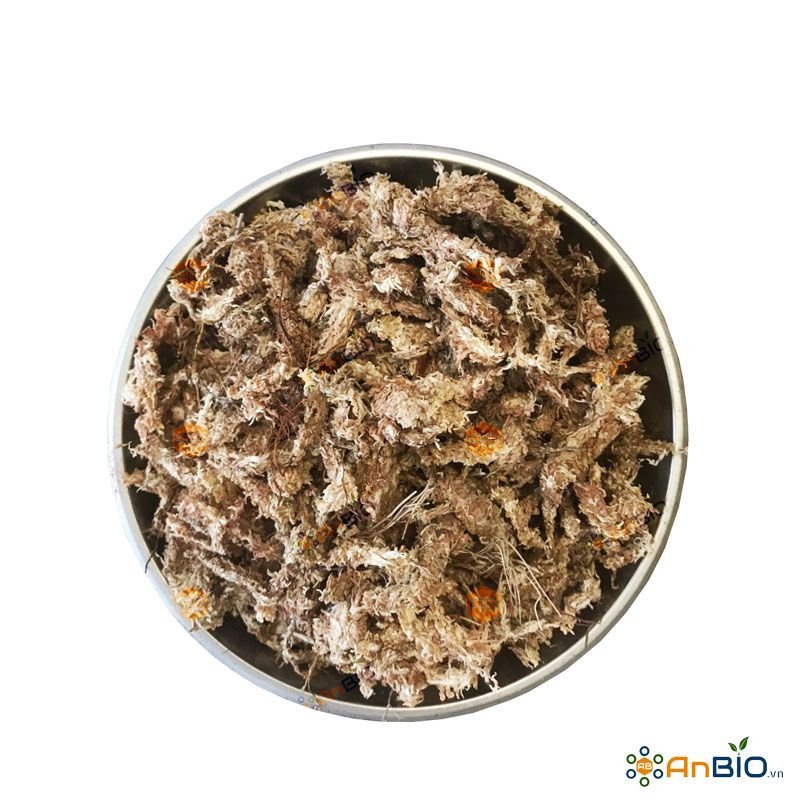 Rêu Sâu Chile gói 100g | DỚN CHILE MOSS – AnBIO.vn | Agriculture ...