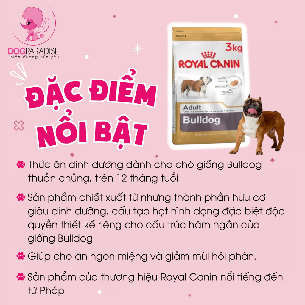 RC bulldog Adult