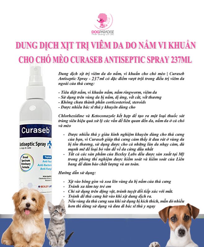Dung dịch xịt trị viêm da do nấm, vi khuẩn cho thú cưng Curaseb Antise