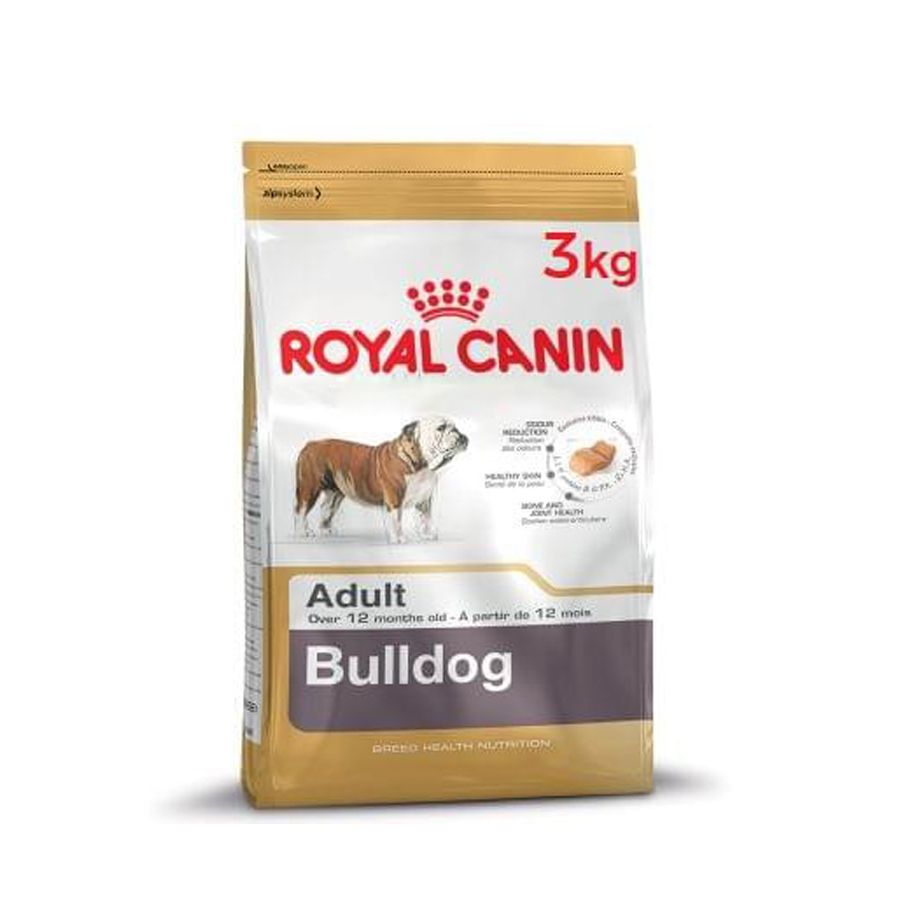 RC bulldog Adult