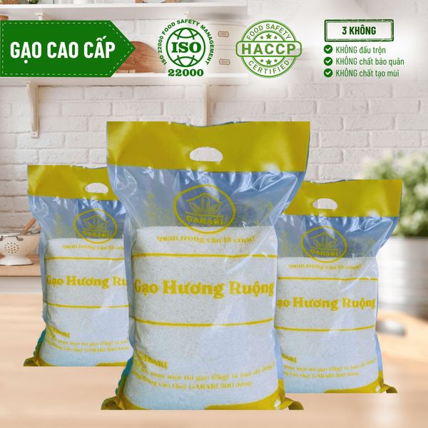 Gạo Sạch Gabari Uy Tín, Chất Lượng Thơm Ngon, Giá Tốt