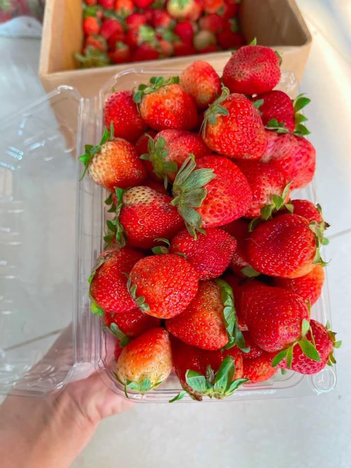 DAU DA LAT – BON GROCER