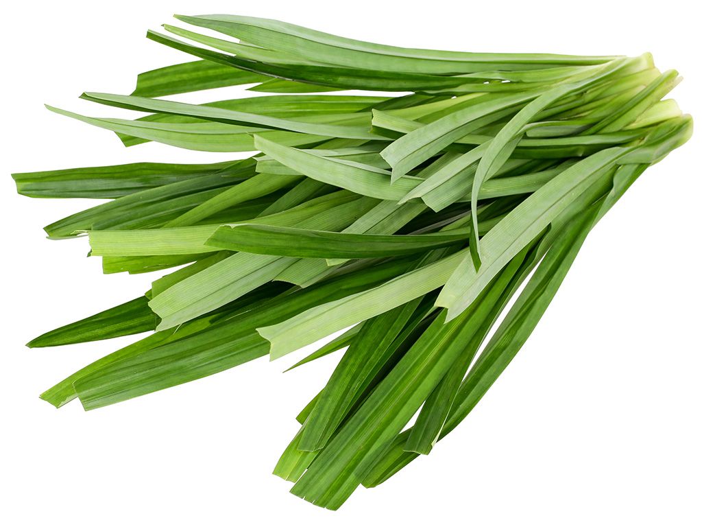 LÁ DỨA – BON GROCER