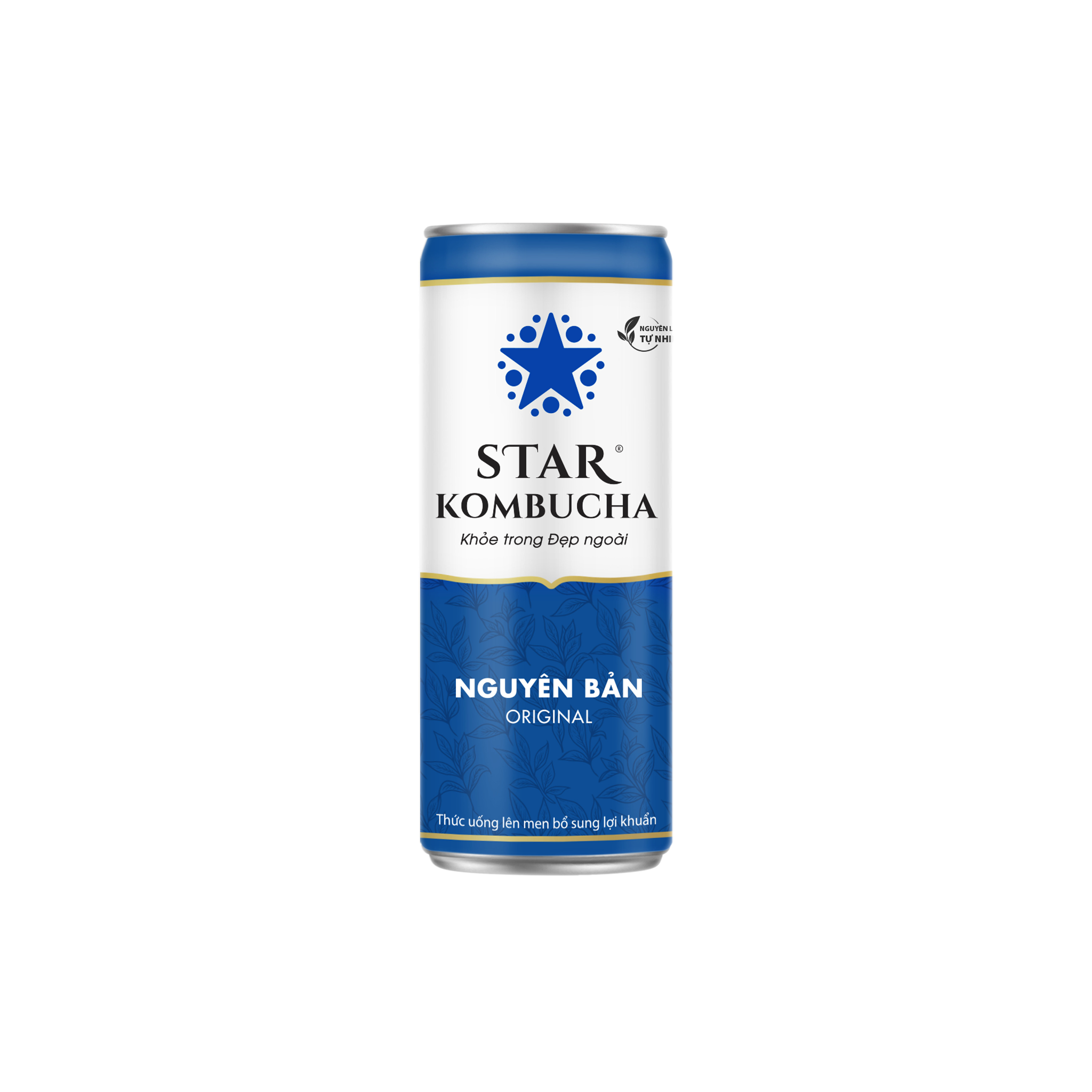 STAR KOMBUCHA - NGUYEN BAN*12 – BON GROCER