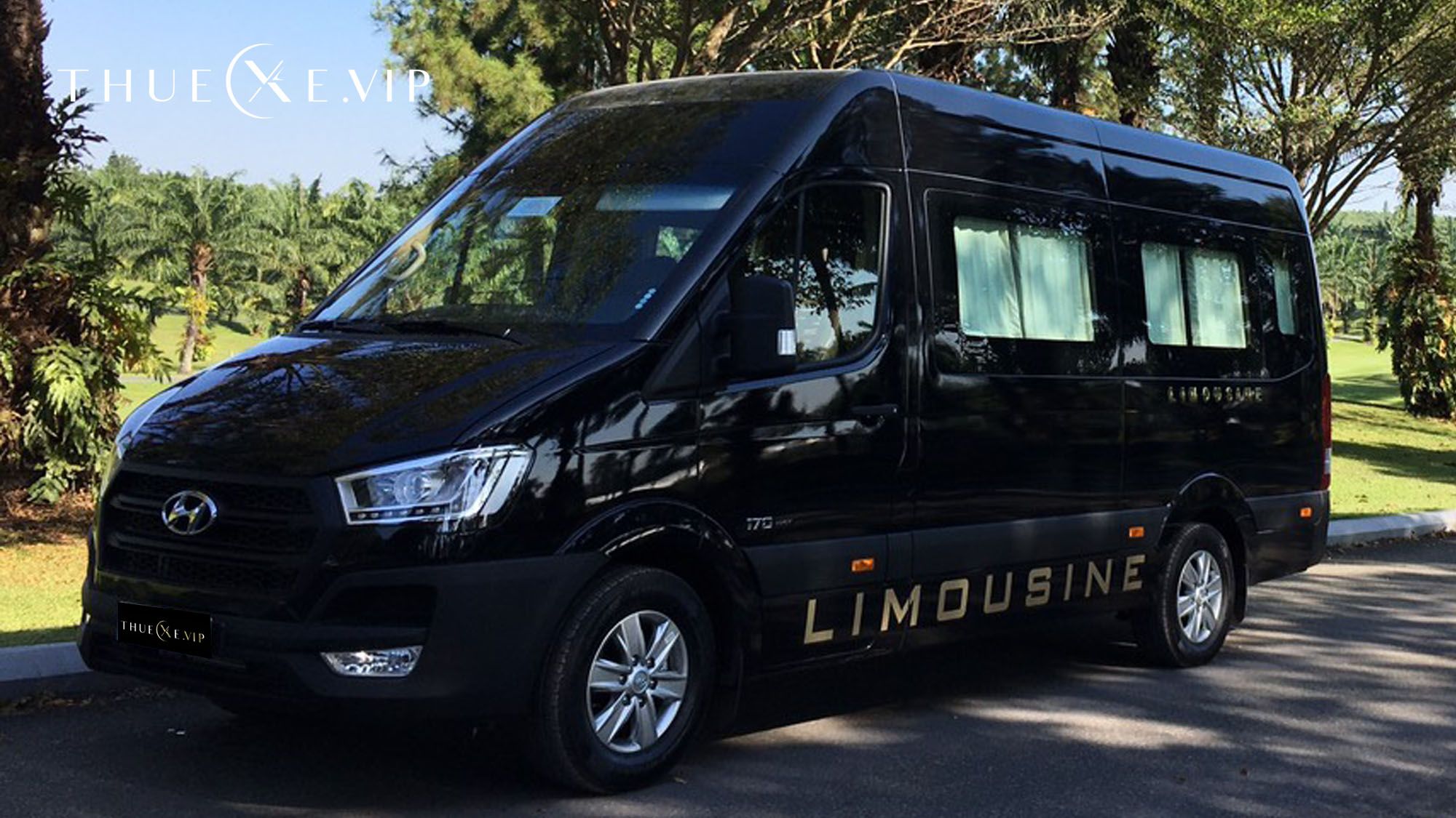 SOLATI LIMOUSINE DCAR 9 seats VIP car rental in HCM City - thuexe.vip