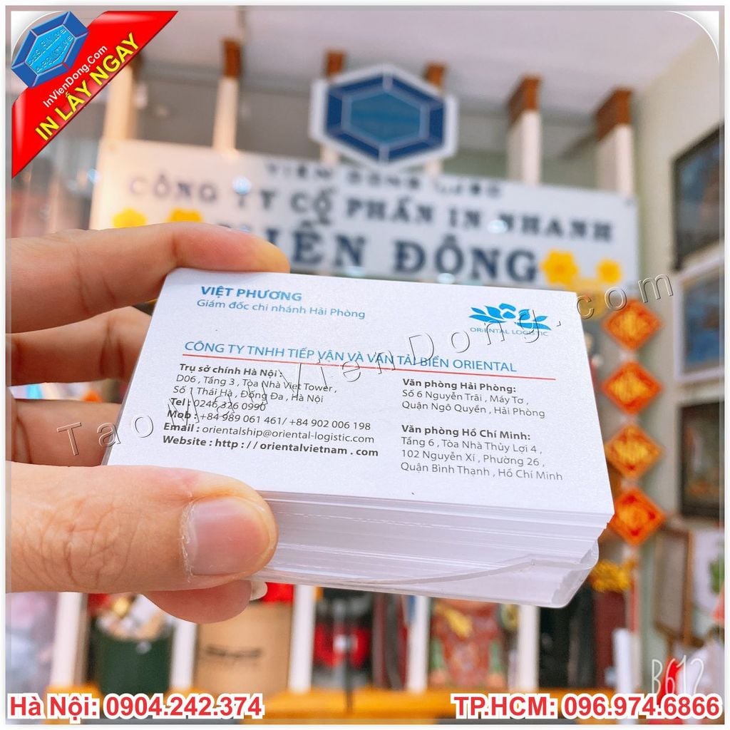 mẫu card visit đẹp cho giám đốc – In Viễn Đông