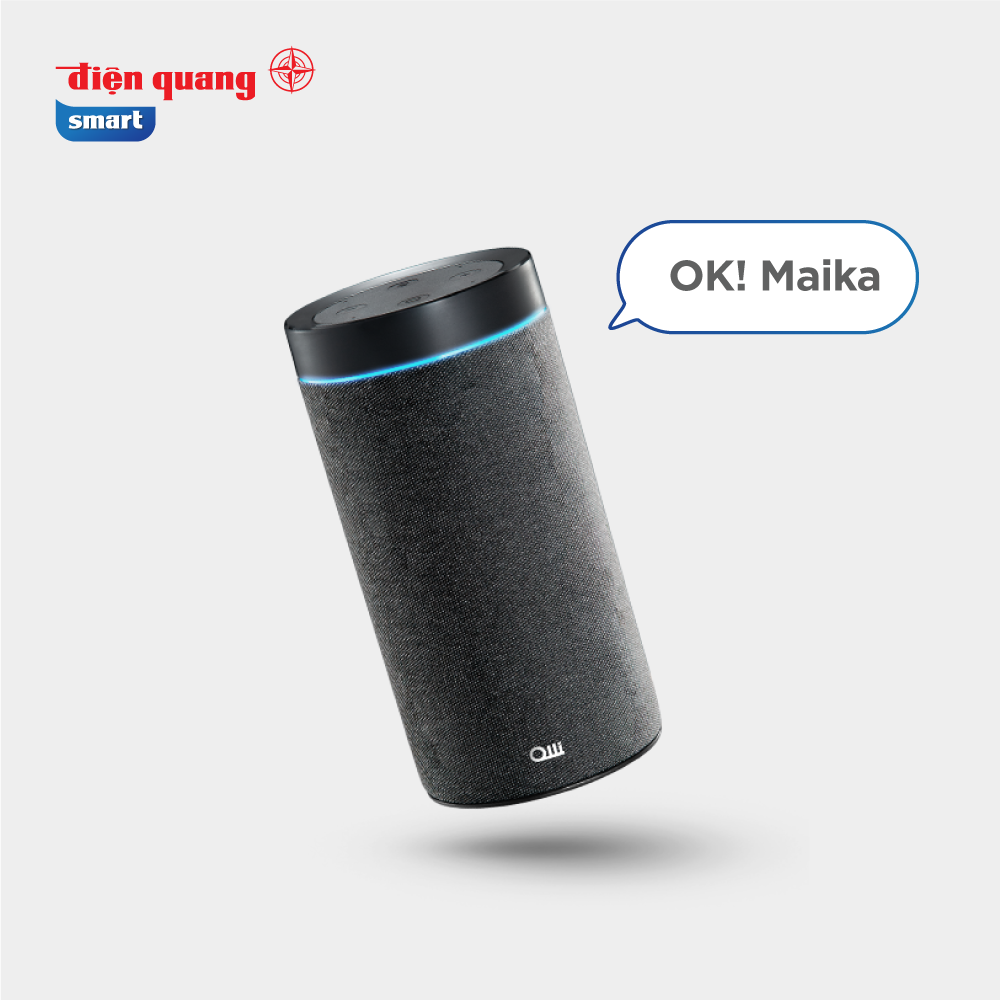 Loa thông minh DQSmart OL 1.1 (Trợ lý ảo tiếng Việt Maika) – Điện Quang ...