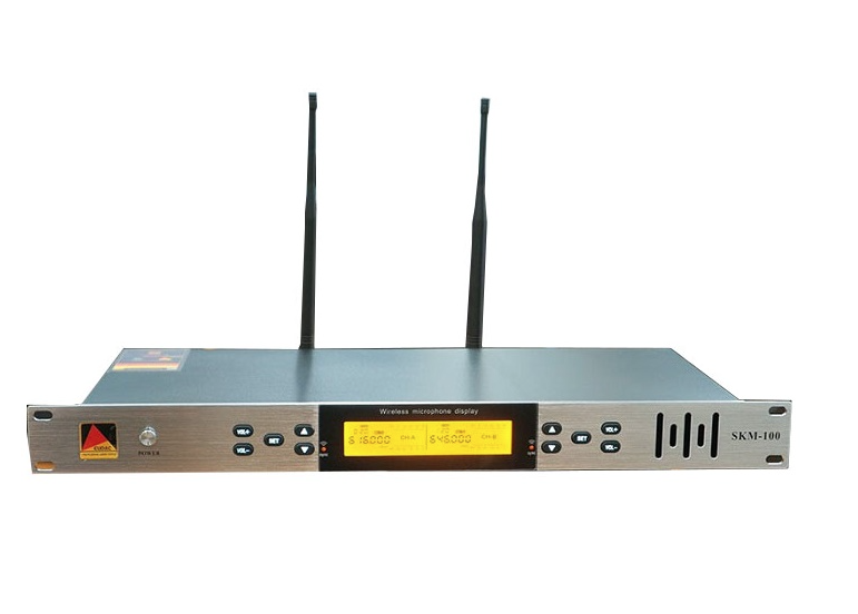 Micro EUDAC SKM-100 – VIDIA