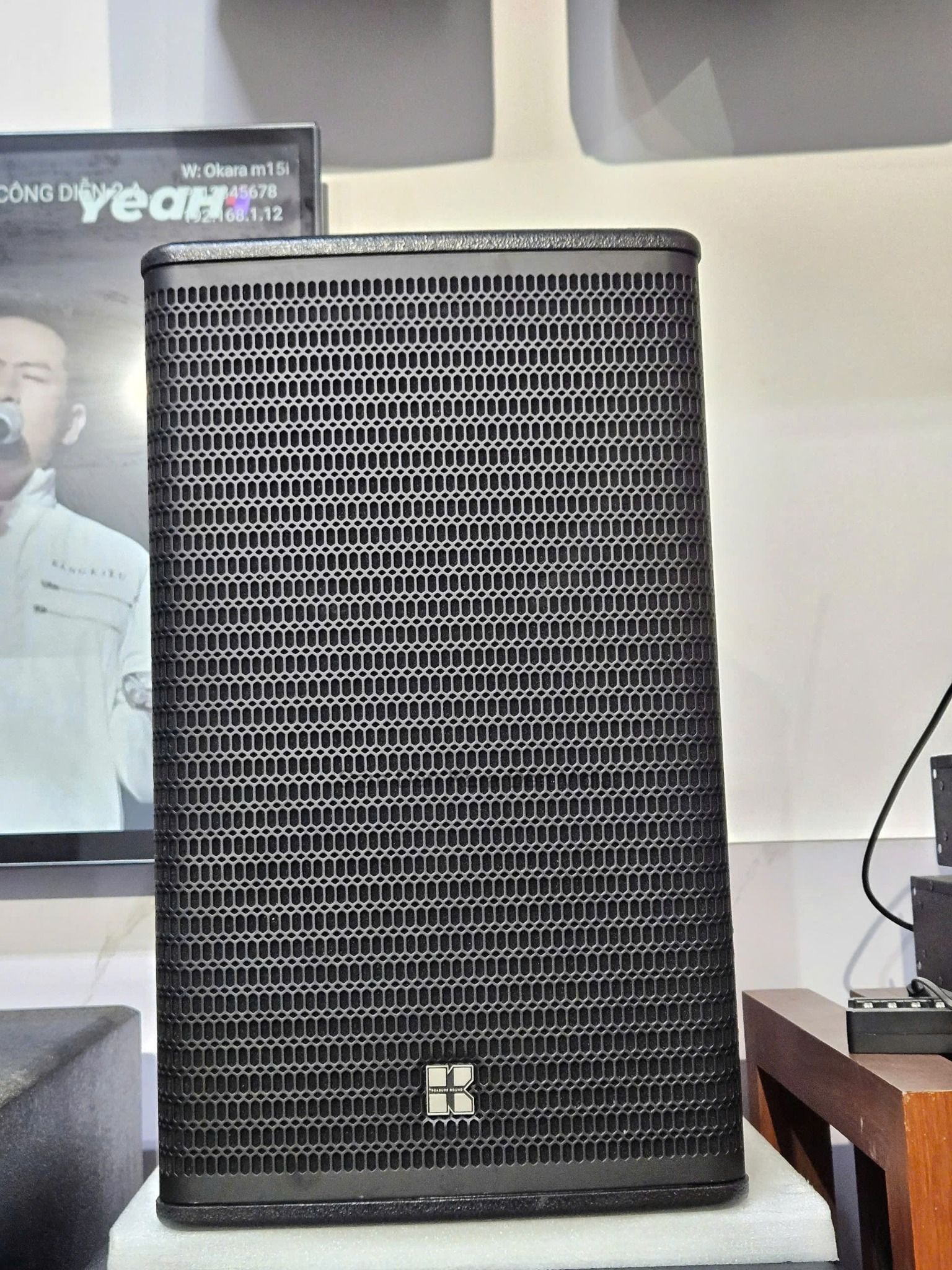 Loa KTreasure TD12 – VIDIA