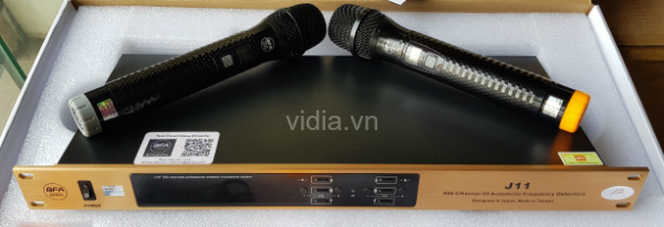 BFaudio J11 – VIDIA