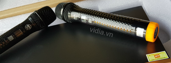BFaudio J11 – VIDIA