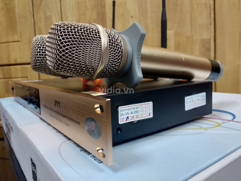 BFAUDIO J11 – VIDIA