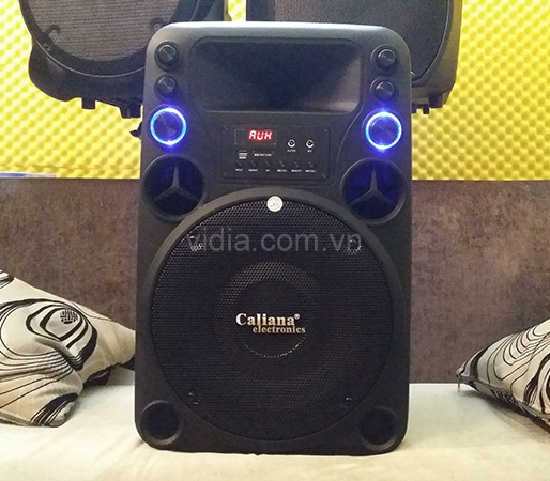 CALIANA T012 – VIDIA