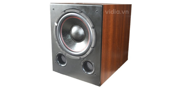 CAVS SA612 – VIDIA