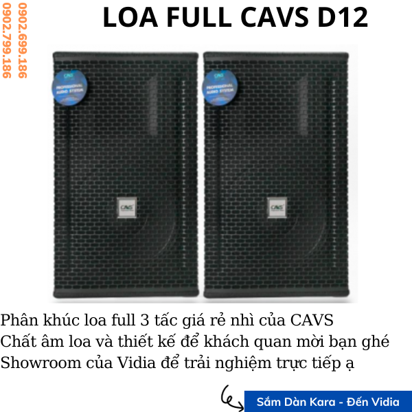 Loa Full CAVS D12 – VIDIA