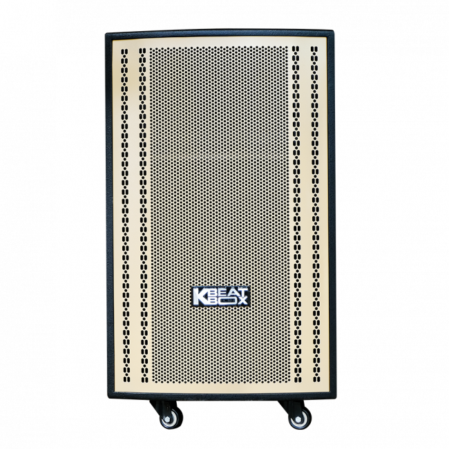 Loa Kéo ACNOS CB3051G – VIDIA