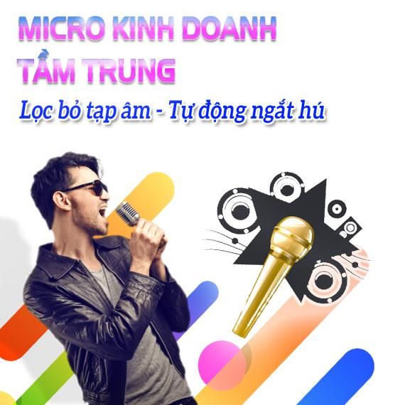 Micro E3 V300 – VIDIA