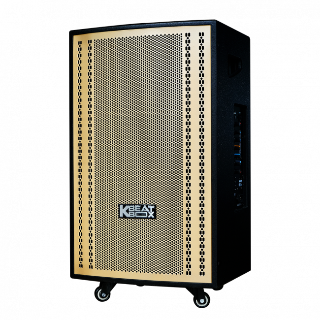 Loa Kéo ACNOS CB3051G – VIDIA