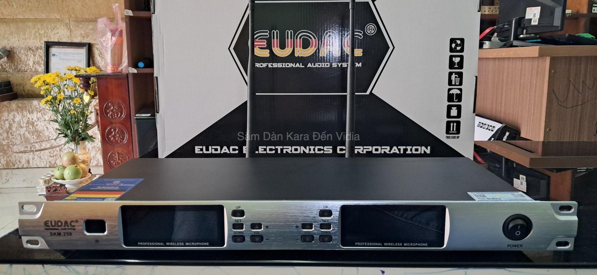 Micro EUDAC AUDIO SKM-250 – VIDIA