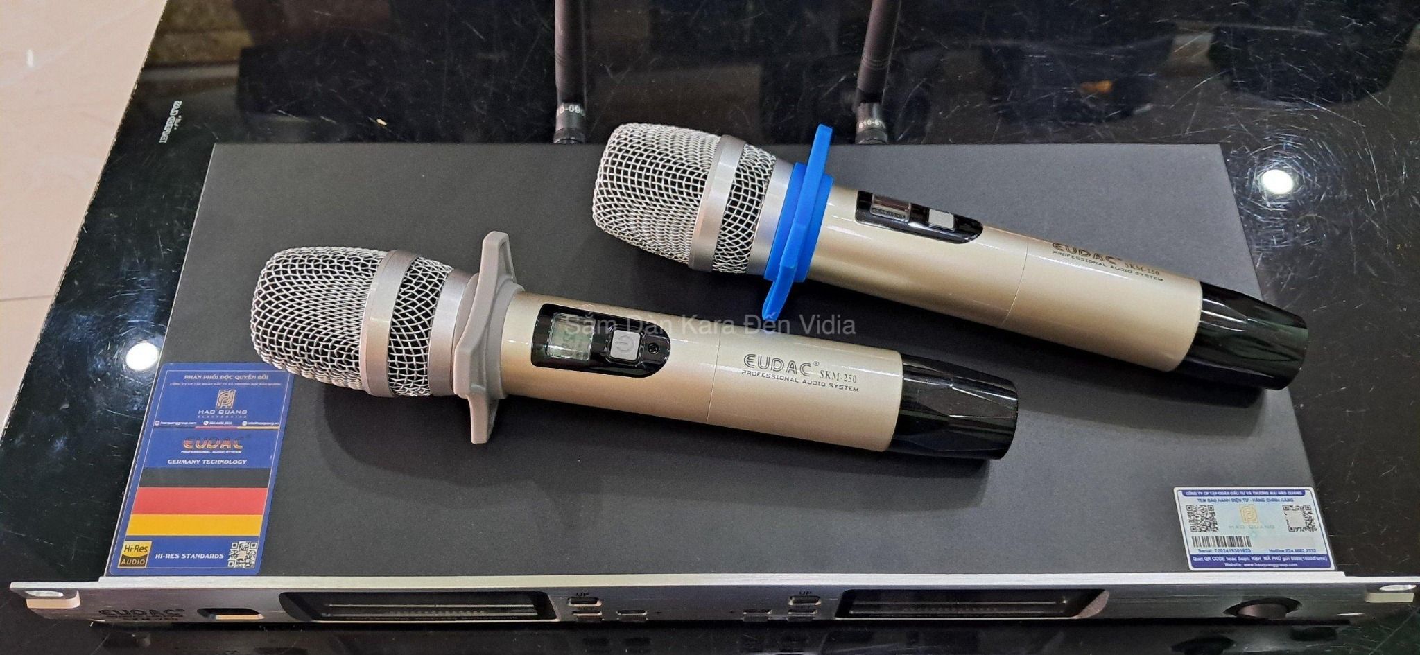 Micro EUDAC AUDIO SKM-250 – VIDIA