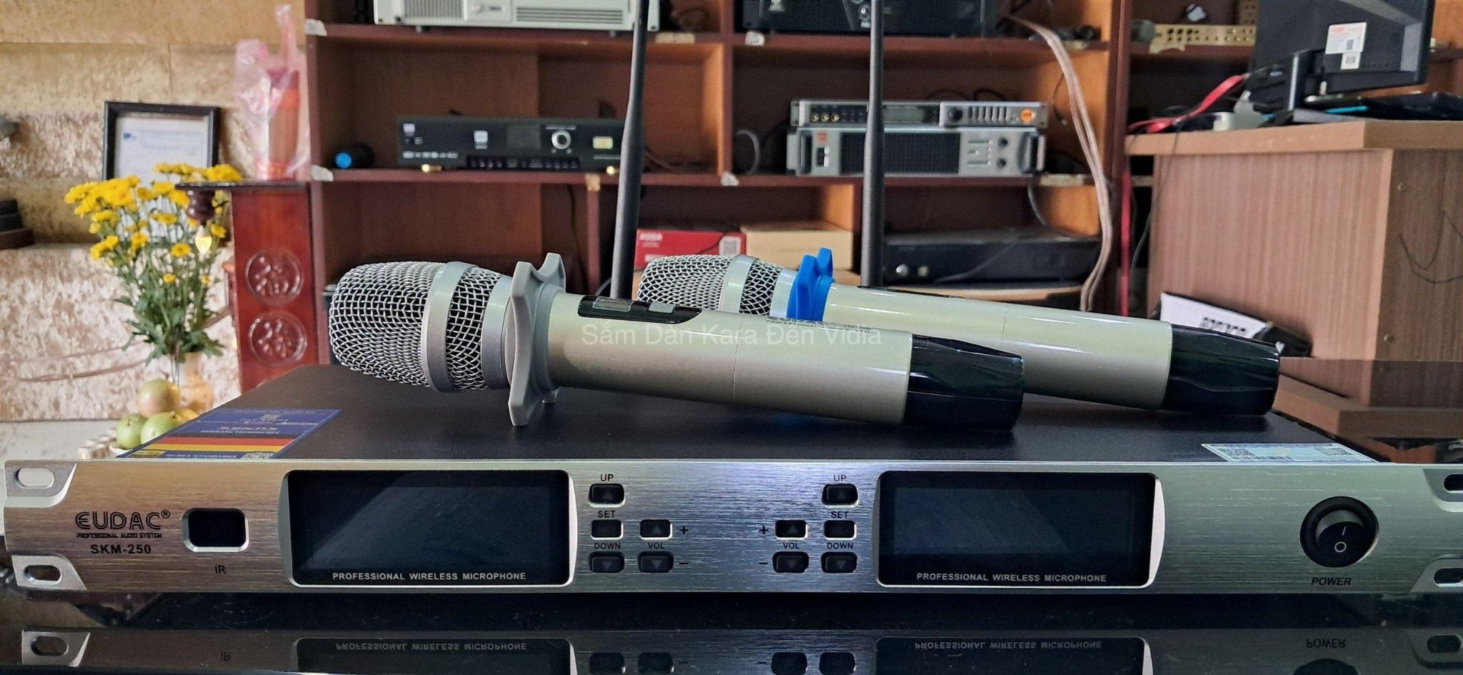 Micro EUDAC AUDIO SKM-250 – VIDIA