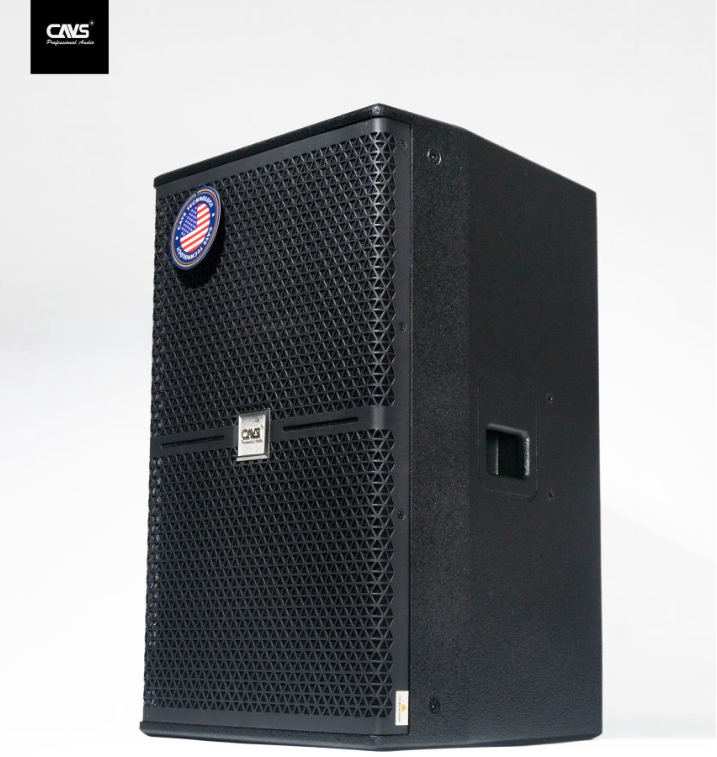 Loa Full CAVS C12 – VIDIA