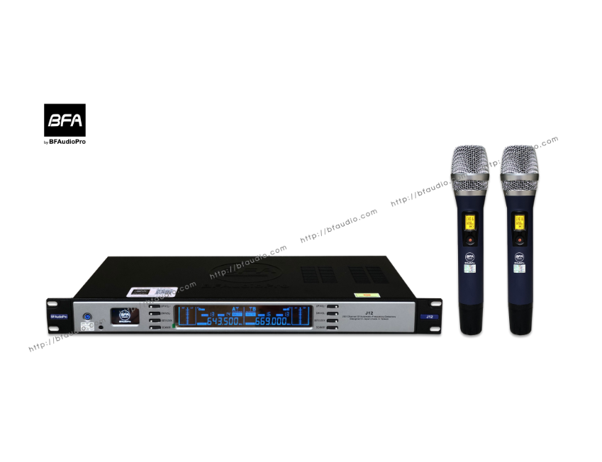 Micro BFAUDIOPRO J12 – VIDIA