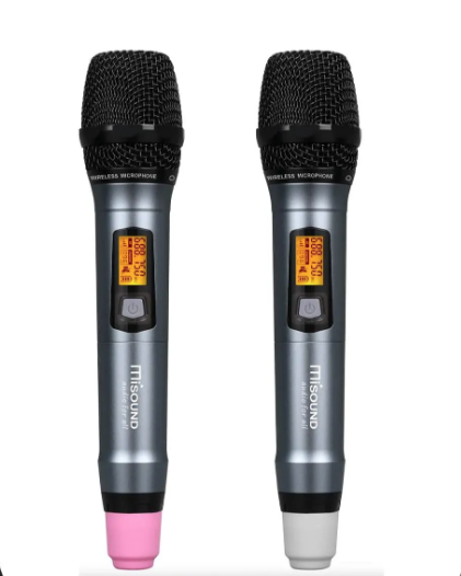 Micro Misound S-450 – VIDIA