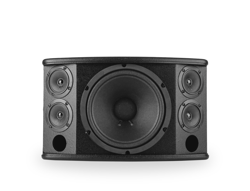 Loa CAVS CX10 Plus – VIDIA