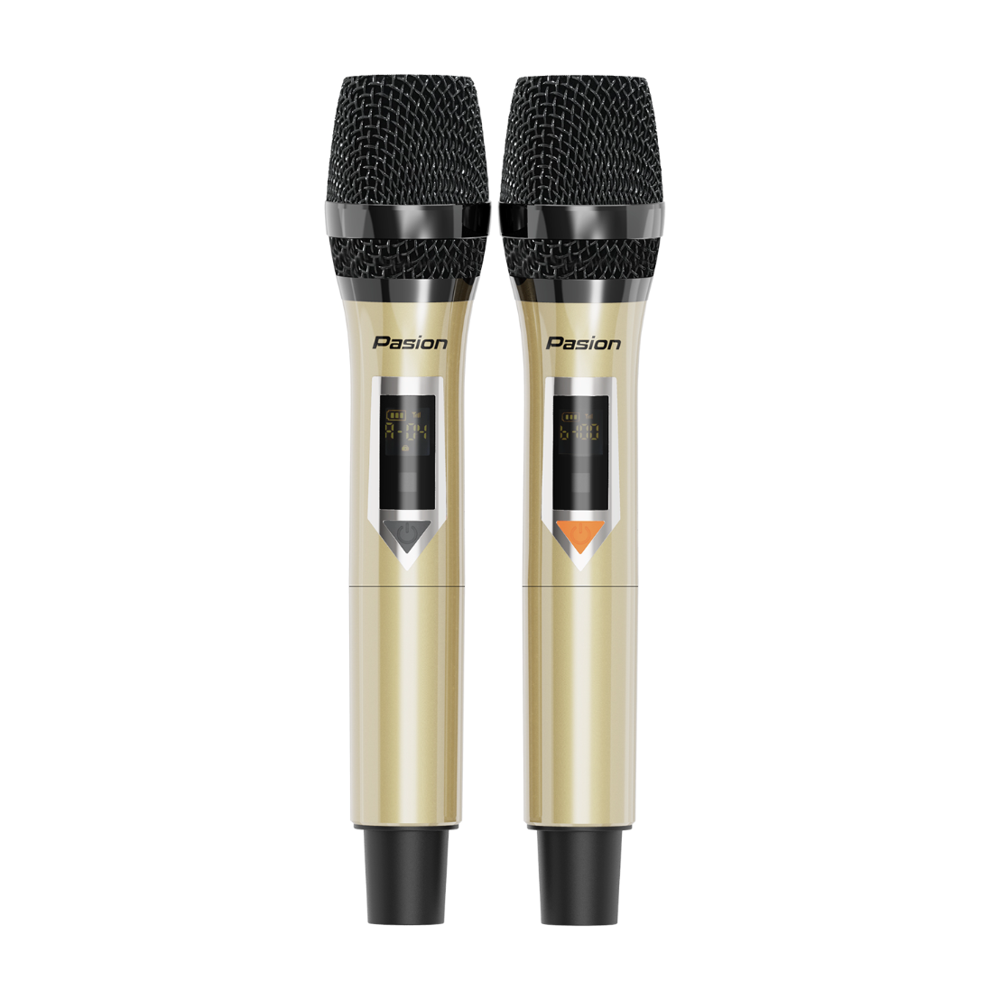 Loa Paramax Pasion 2C – VIDIA