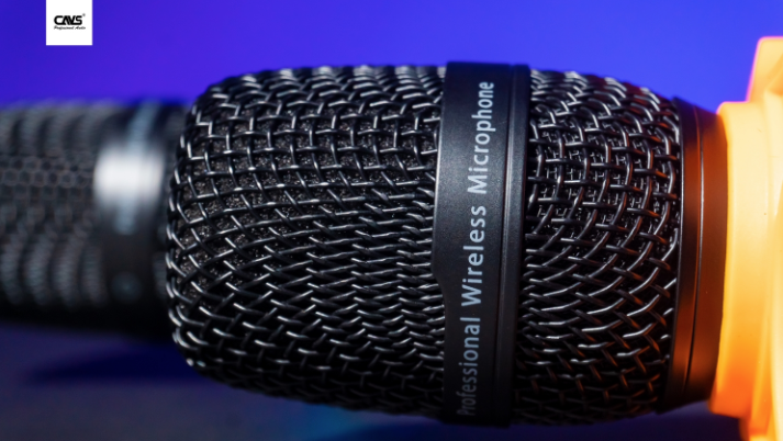 Micro CAVS S10 – VIDIA