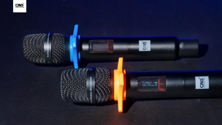 Micro CAVS S10 – VIDIA