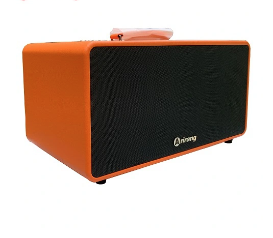 Loa Arirang MB2 Pro – VIDIA