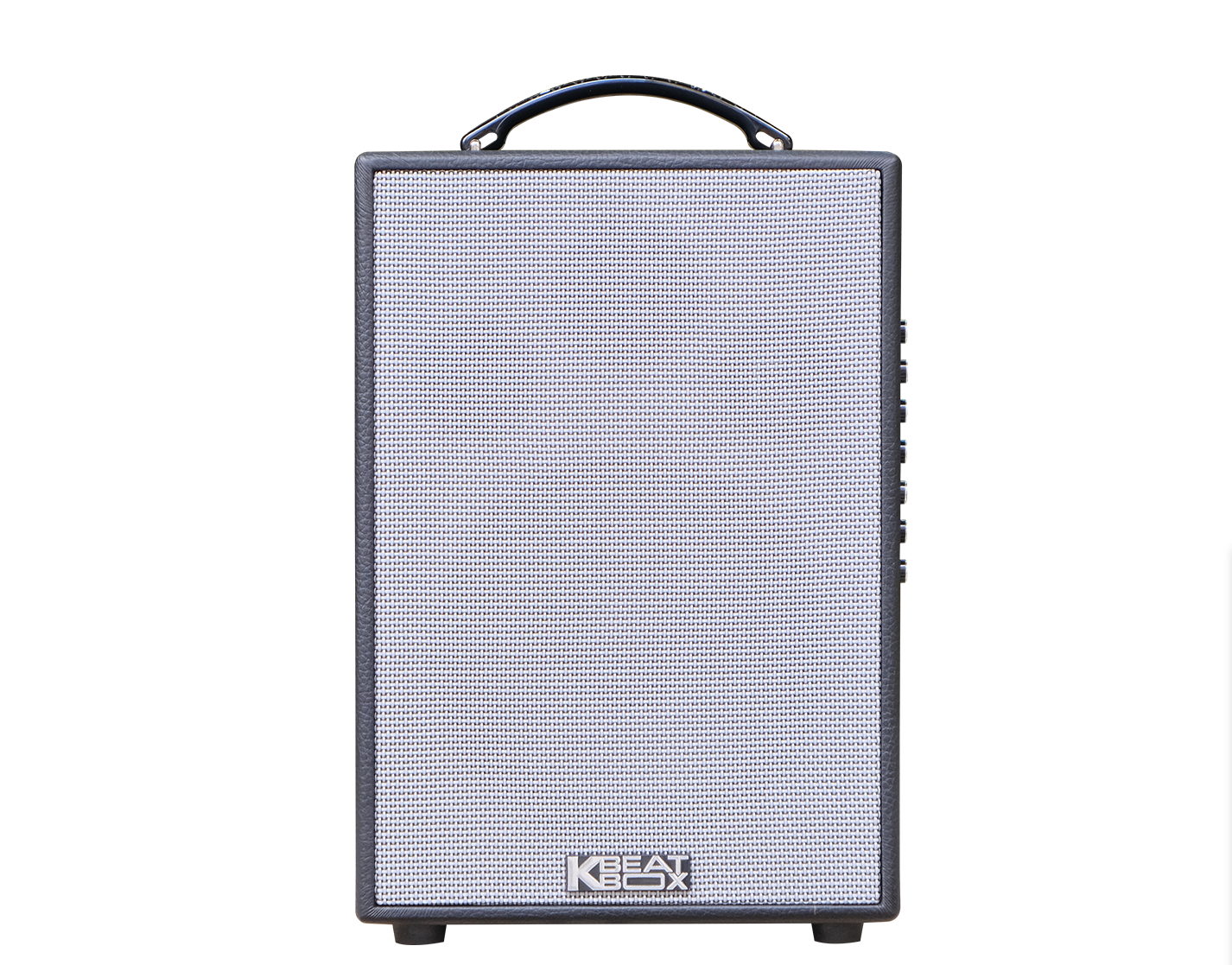 Loa ACNOS CS141 – VIDIA