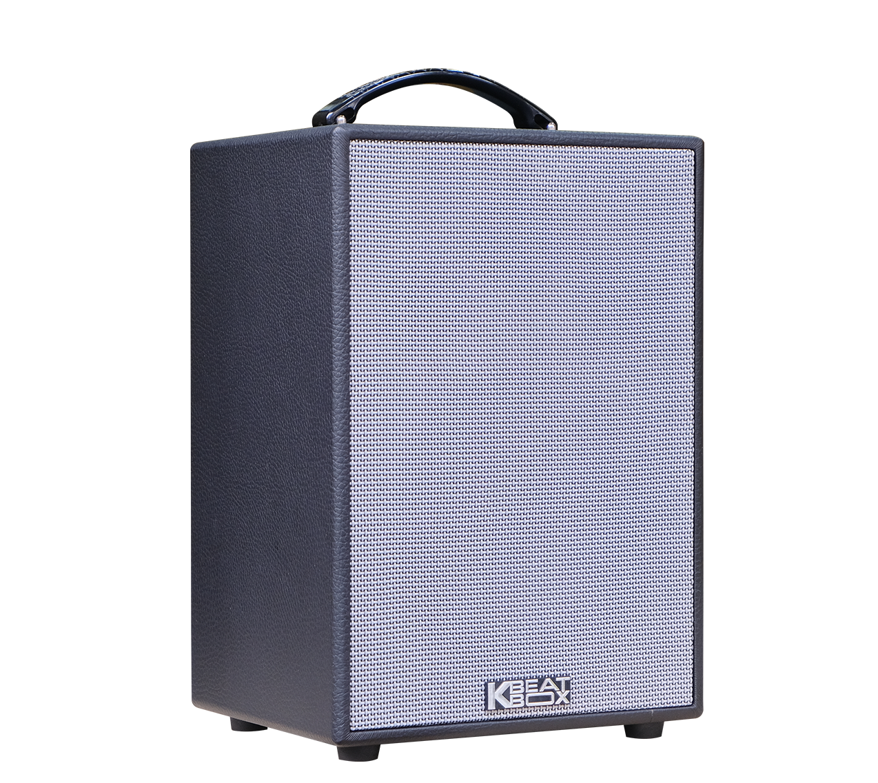 Loa ACNOS CS141 – VIDIA