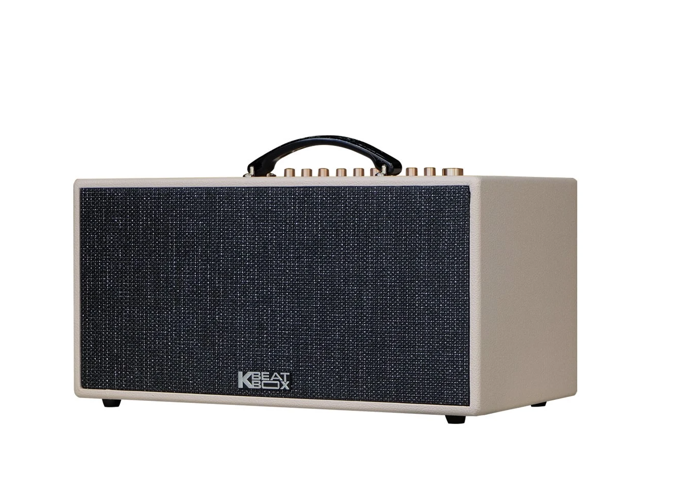 Loa ACNOS CS447 – VIDIA