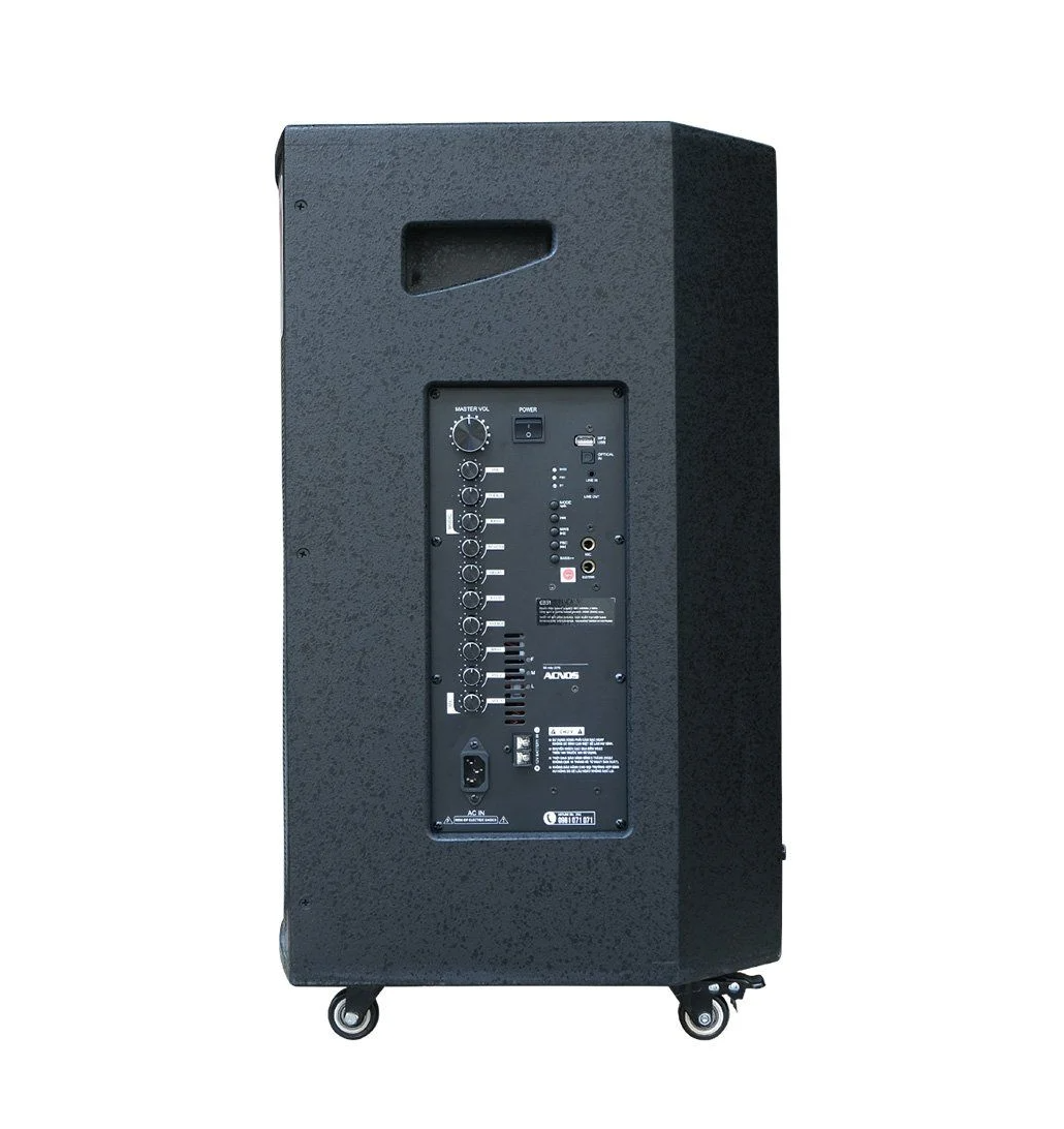 Loa ACNOS CB31 – VIDIA