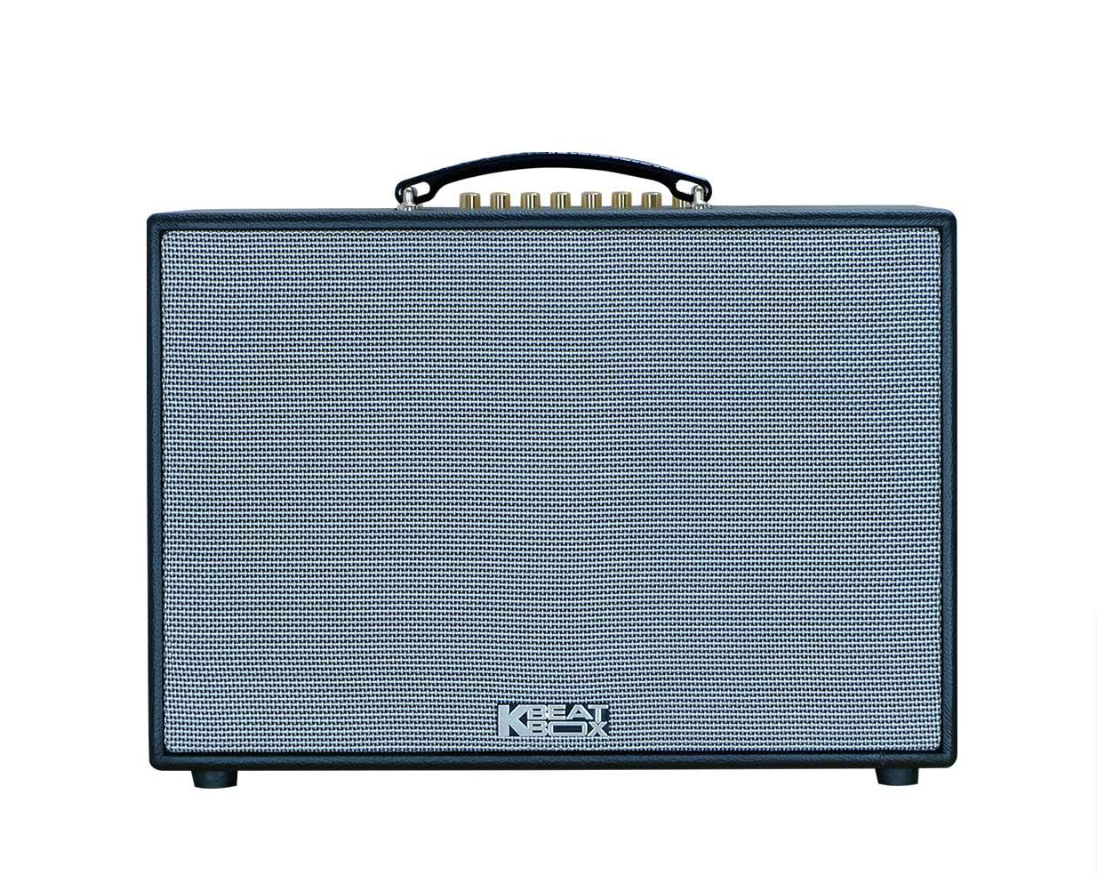 Loa ACNOS CS2501PU – VIDIA