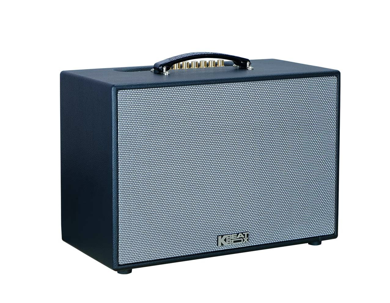 Loa ACNOS CS2501PU – VIDIA