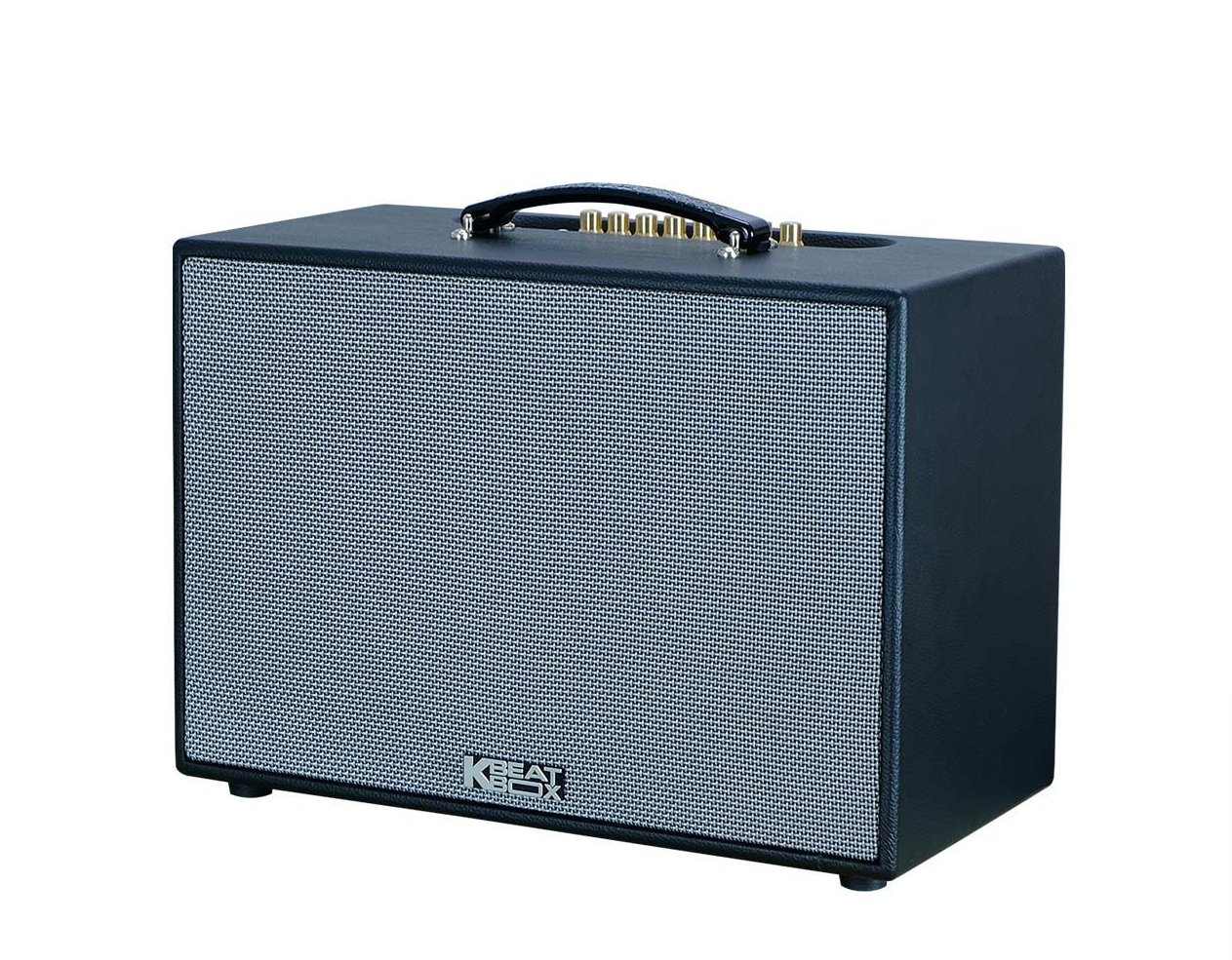 Loa ACNOS CS2501PU – VIDIA