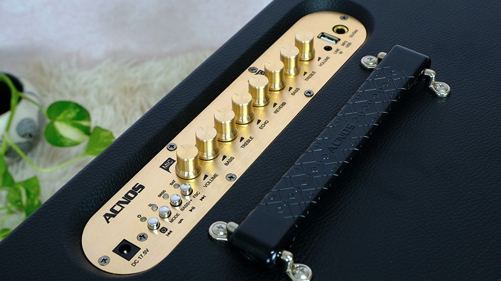 Loa ACNOS CS2501PU – VIDIA