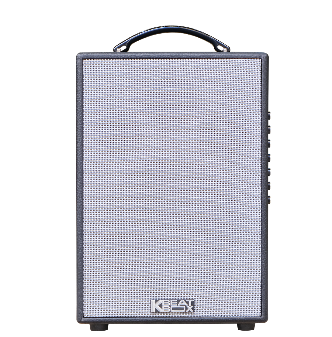 Loa ACNOS CS121 – VIDIA