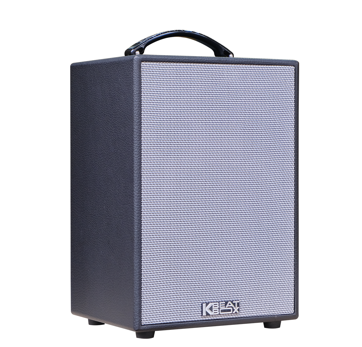 Loa ACNOS CS121 – VIDIA